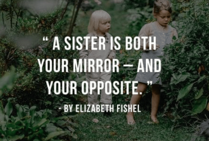 Why Siblings are so Different: A Sociogenomics Explanation – UpLive.Life