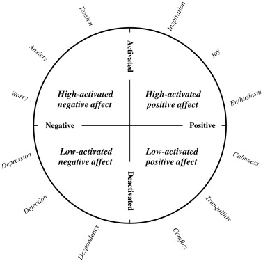 The Evolutionary Gift of Core Affect: Why We Feel Before We Think ...